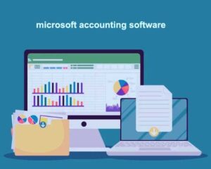 Microsoft Accounting Software
